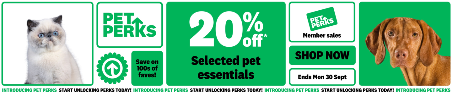 Cat Toys - Pet Direct