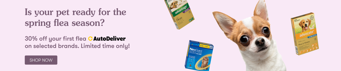 Pet Direct - 100% NZ Owned Online Pet Store - Shop dog & cat food ...