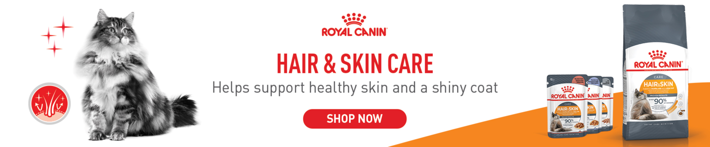 Nurture Your Cat's Skin and Coat Health with Premium Products - Pet Direct
