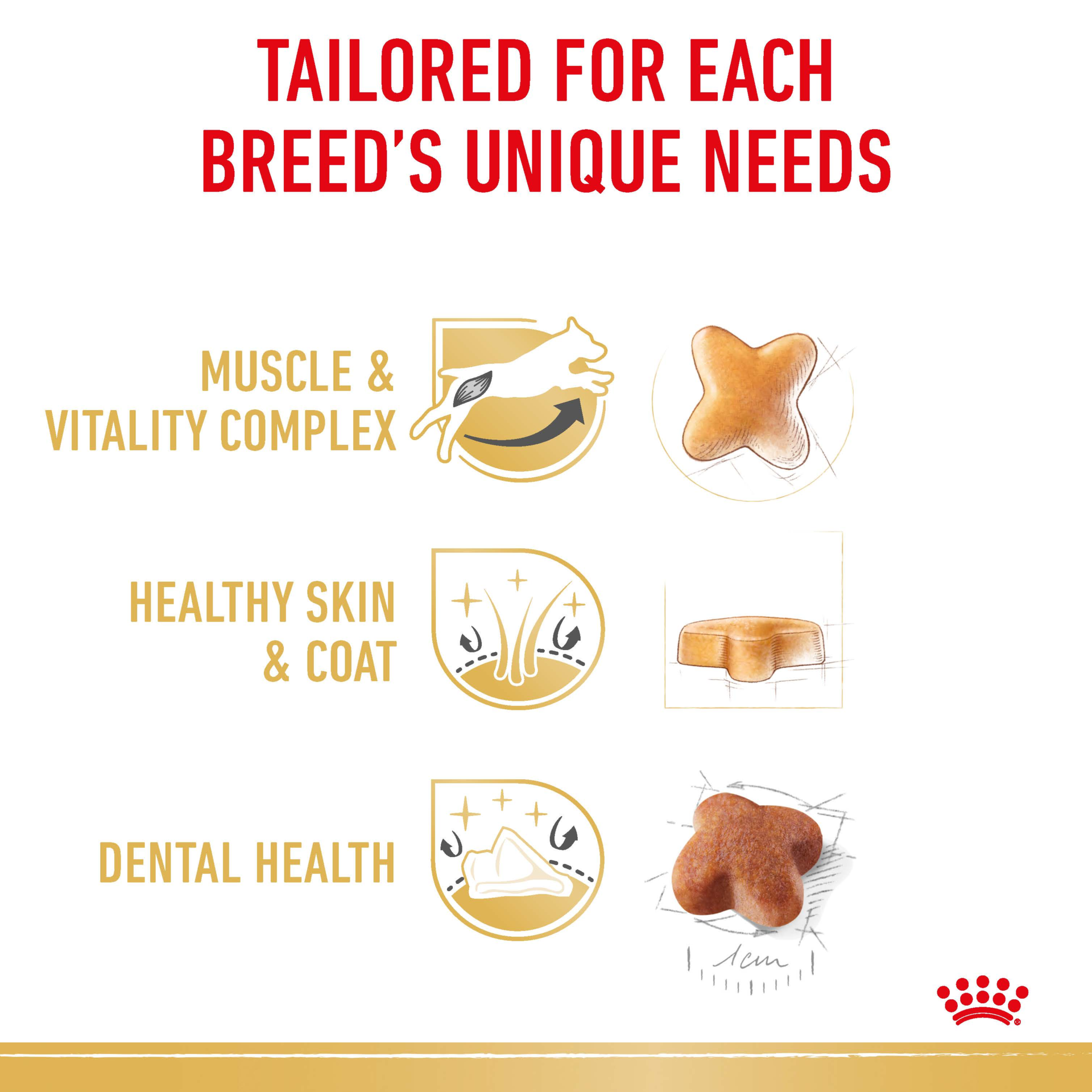 Royal Canin Jack Russell Terrier Adult Dry Dog Food - Petdirect