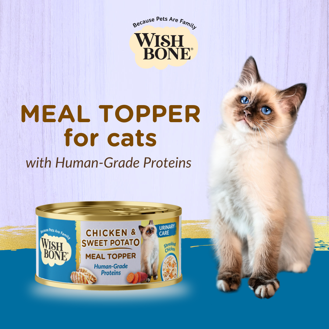 Wishbone Chicken & Sweet Potato Urinary Care Wet Cat Food Topper ...
