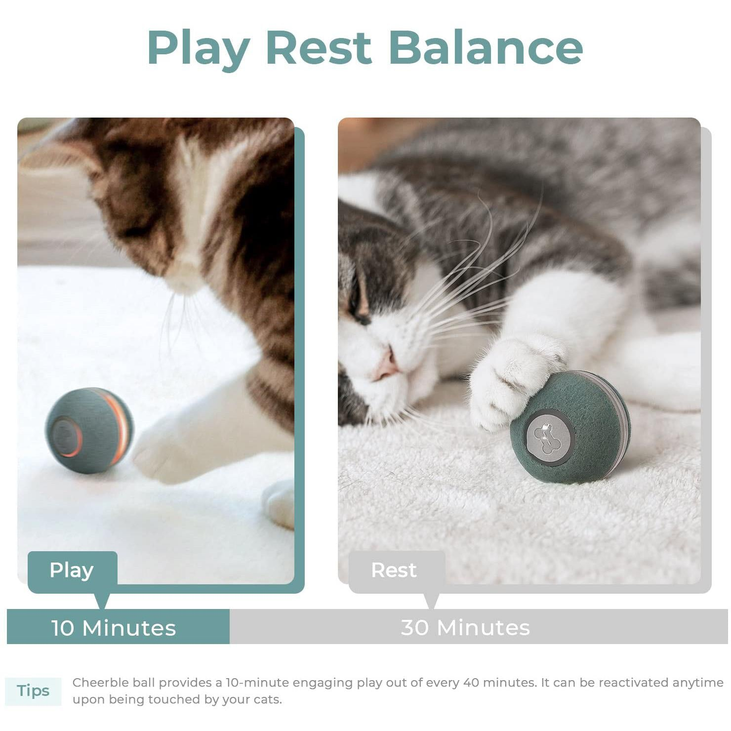 Cheerble M1 Mini Cat Ball - Petdirect