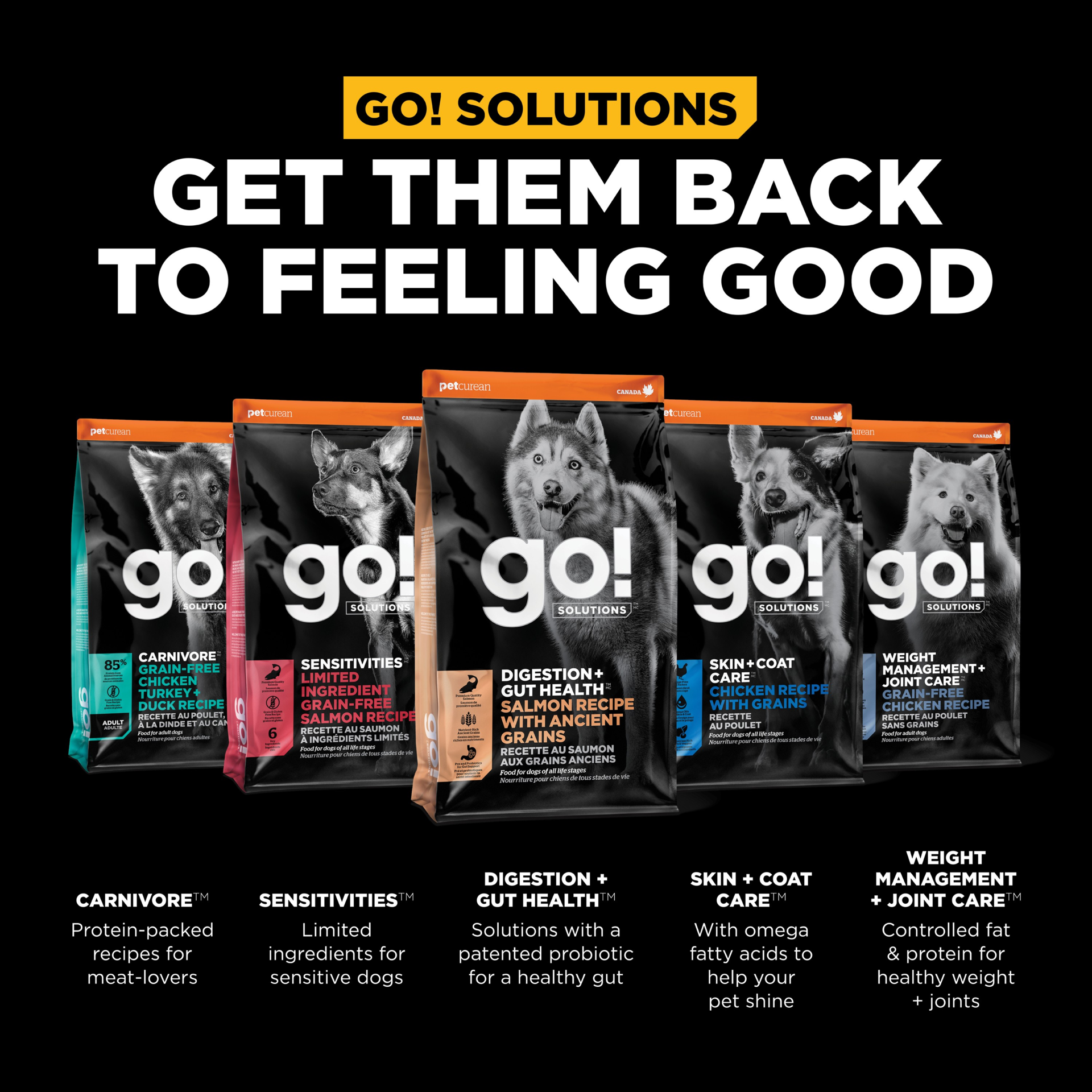 GO! Solutions Digestion + Gut Health Salmon Dry Dog Food - Petdirect