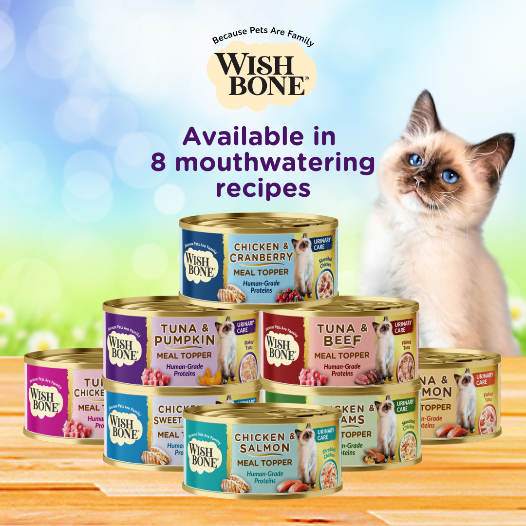 Wishbone Chicken & Salmon Urinary Care Wet Cat Food Topper - Petdirect