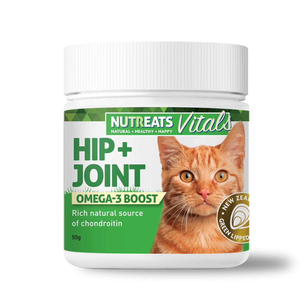 Discover Essential Cat Supplements for Optimal Health - Pet Direct