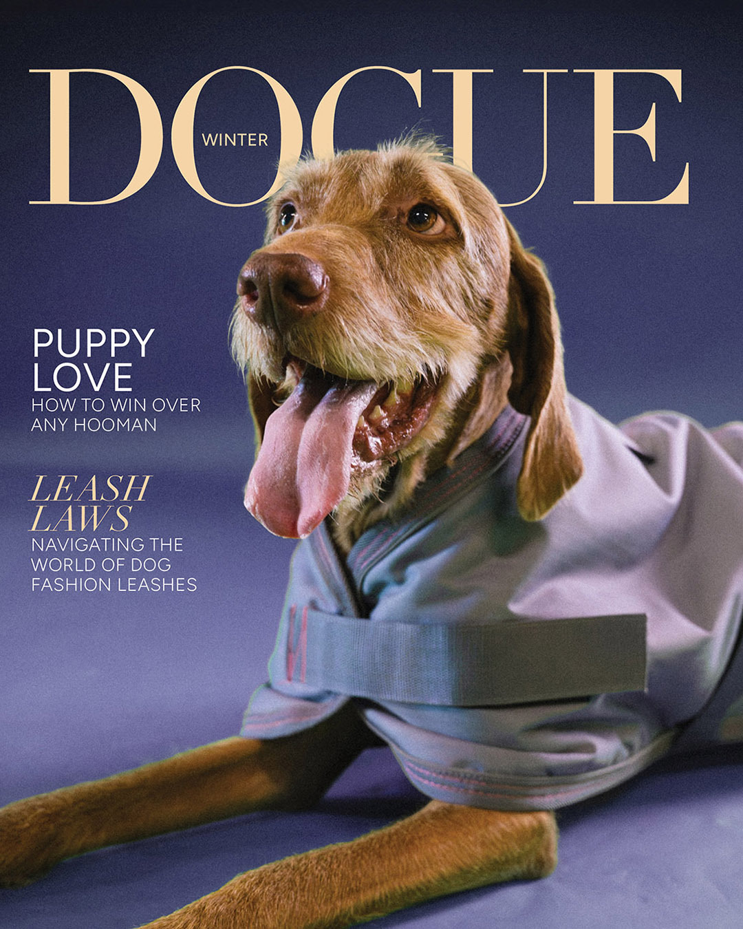 Pet One NightWalker Dog Coat - Petdirect