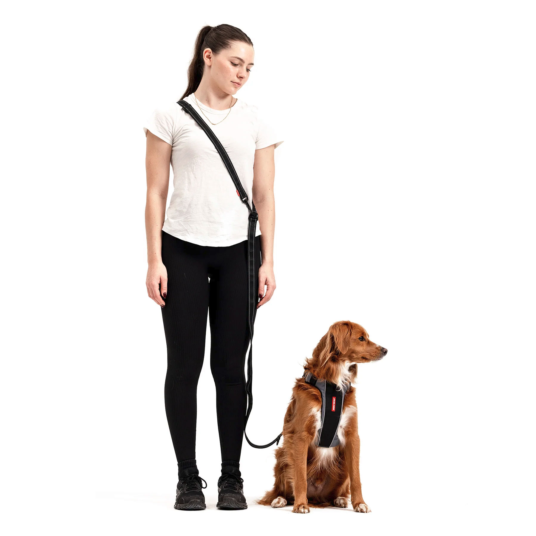 EzyDog Vario 6 Multi-Function Dog Lead - Petdirect