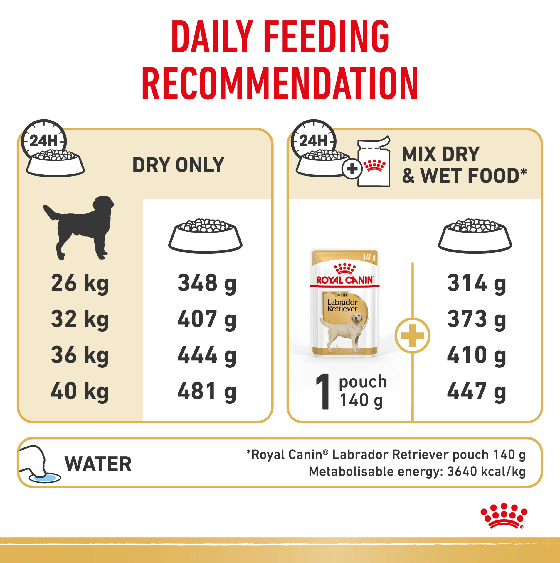 Royal Canin Labrador Retriever Adult Dry Dog Food - Petdirect