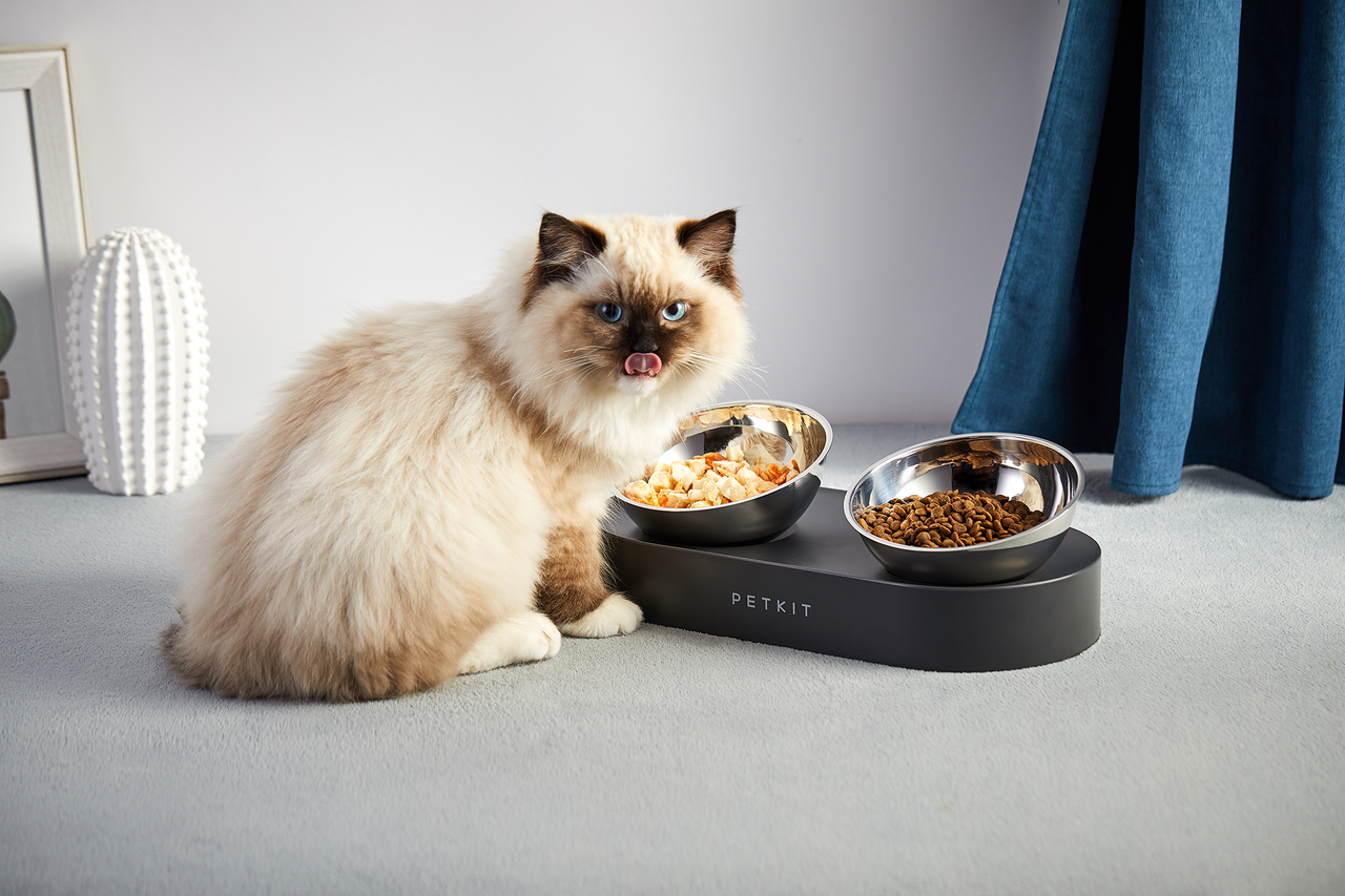 PETKIT Fresh Nano Cat and Dog Adjustable Metal Dual Feeding Bowl ...
