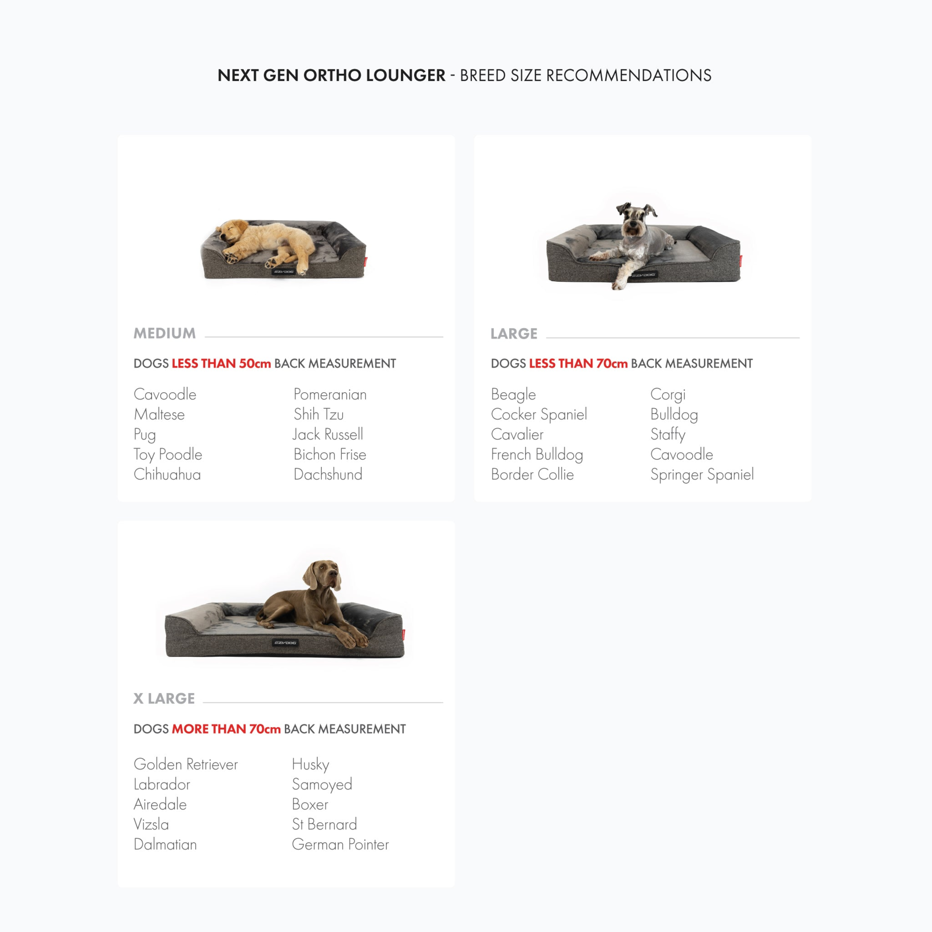 EzyDog Next-Gen Ortho Orthopaedic Lounger Dog Bed - Petdirect