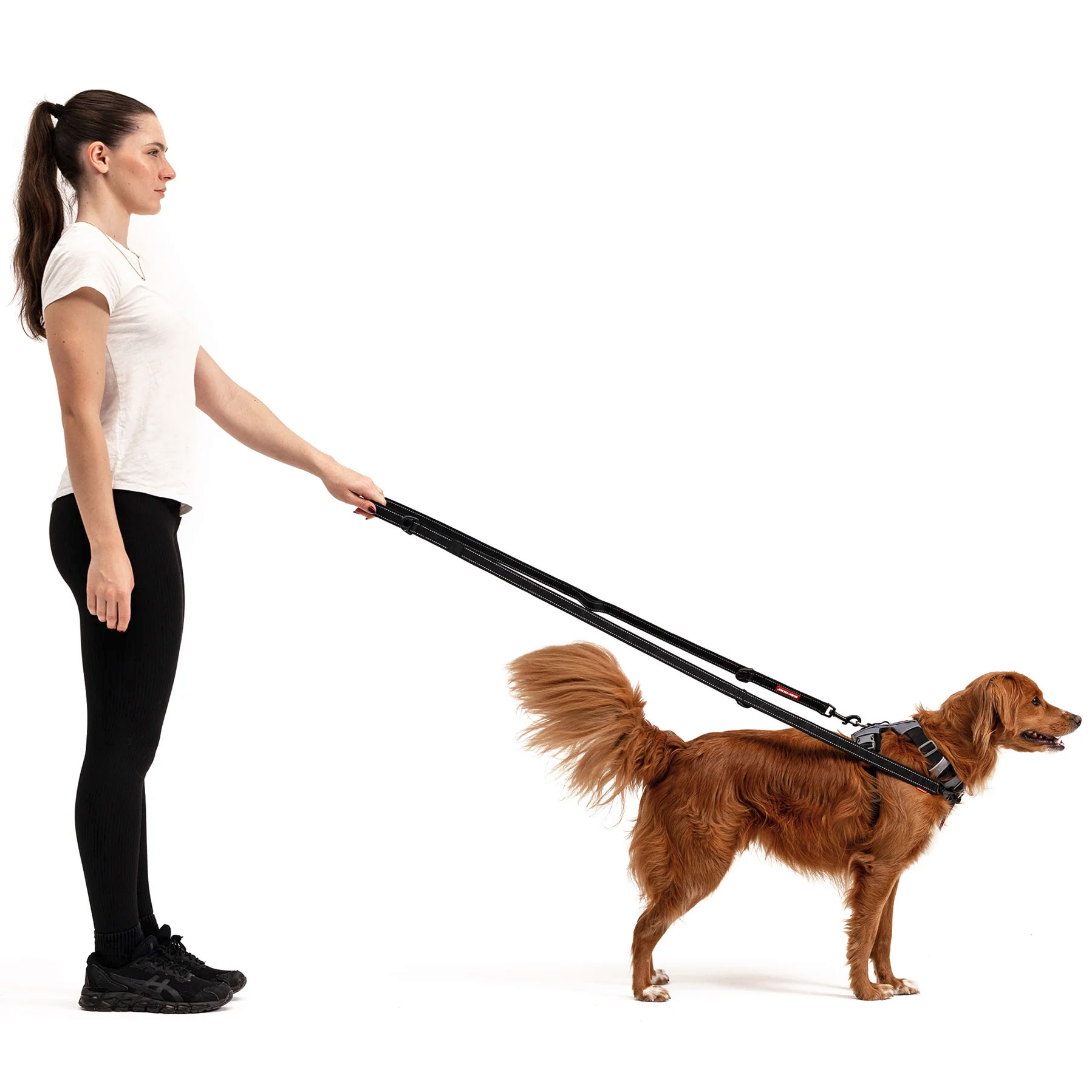 EzyDog Vario 6 Multi-Function Dog Lead - Petdirect