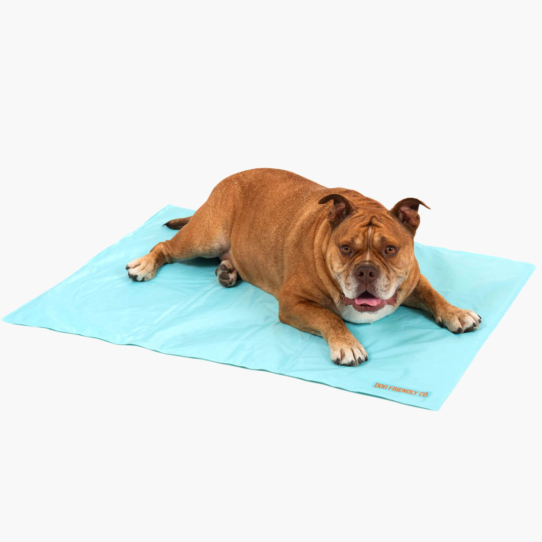 Dog Friendly Co. Dog Cooling Mat - Petdirect