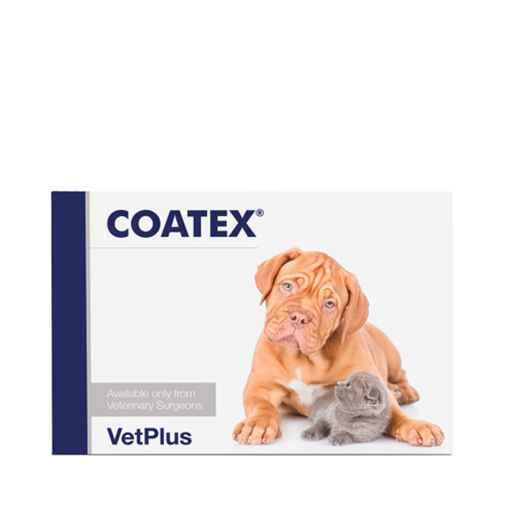 Shop Quality Dog Vet Supplements - Enhance Your Dog's Health - Pet Direct