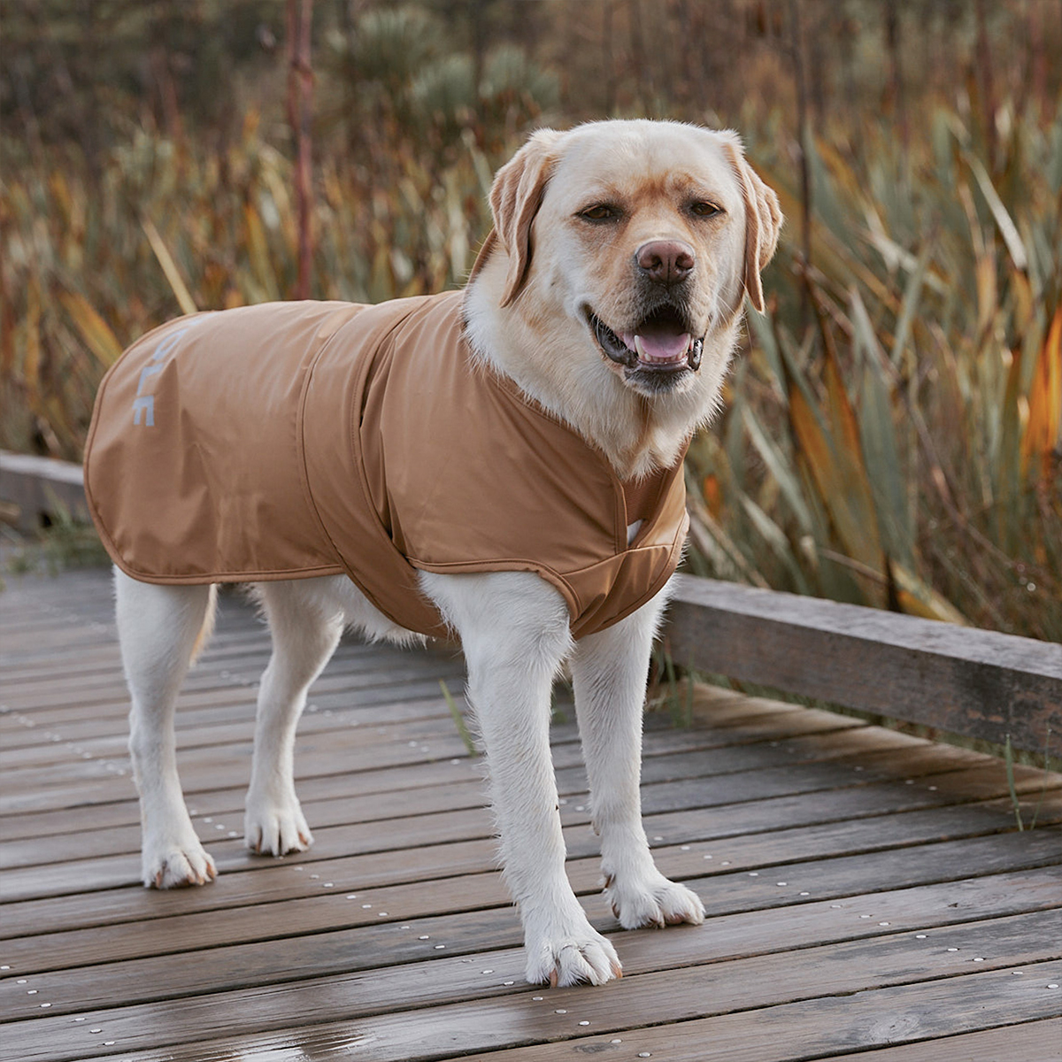 Crywolf Ruff Dog Jacket - Petdirect
