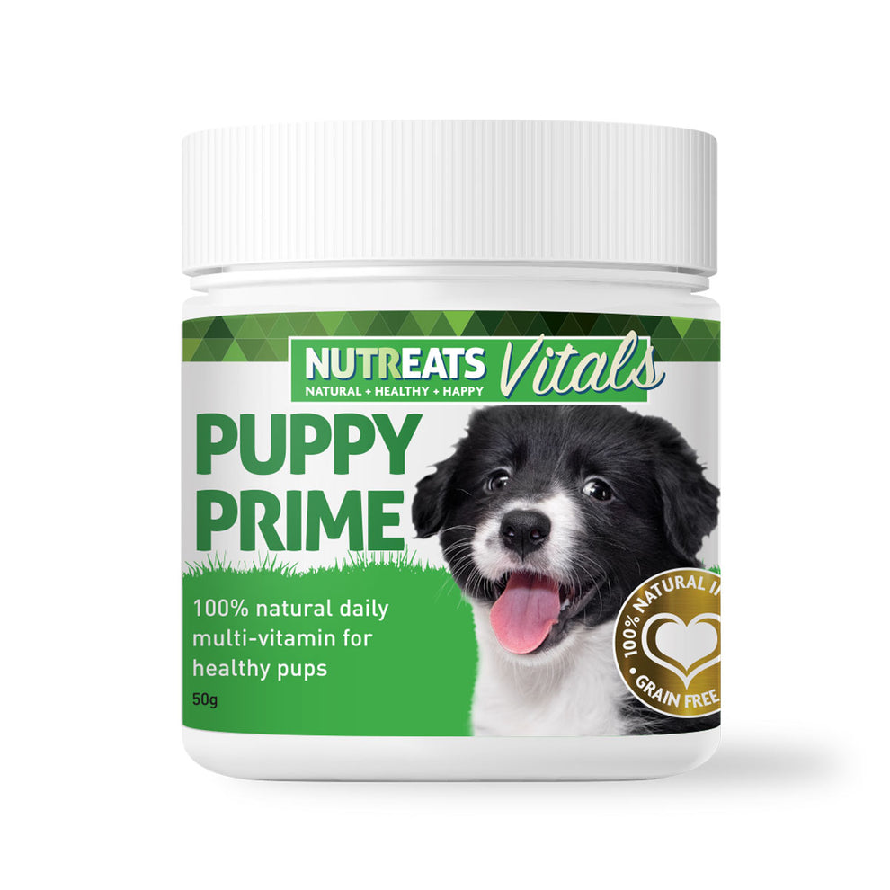 Support Your Dog's Bone and Joint Health with Quality Products - Page 3 ...
