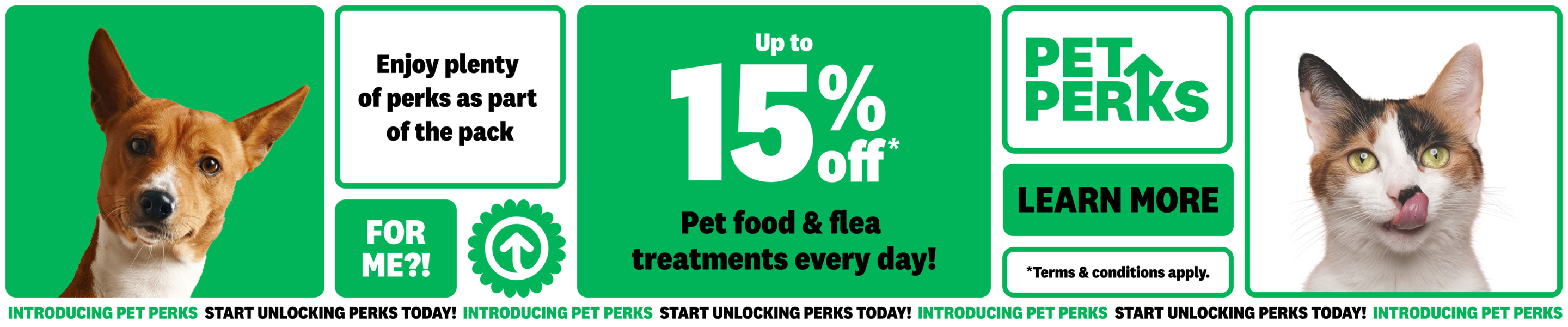 Pet Direct - 100% NZ Owned Online Pet Store - Shop dog & cat food ...