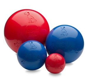 Dog Balls - Great for a game of fetch - Petdirect