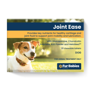 Support Your Dog's Bone and Joint Health with Quality Products - Petdirect