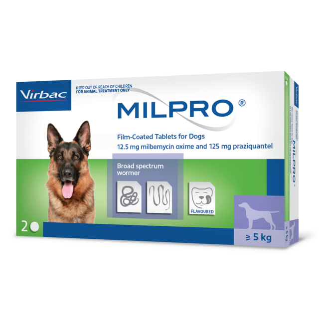 Milpro Wormer for Dogs - Pet Direct