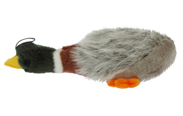 Yours Droolly Mallard Duck Dog Toy - Petdirect
