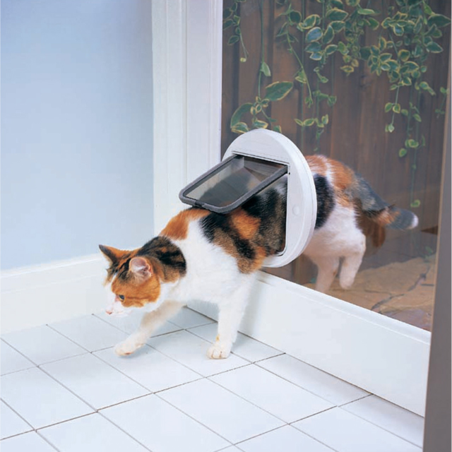 Closer Pets 4 Way Locking Glass Fitting Cat Door - Petdirect