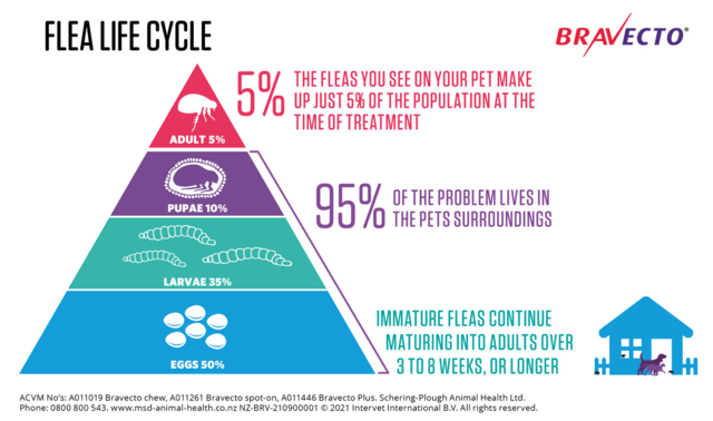 Bravecto Spot-On Flea & Tick Treatment for Cats - Petdirect
