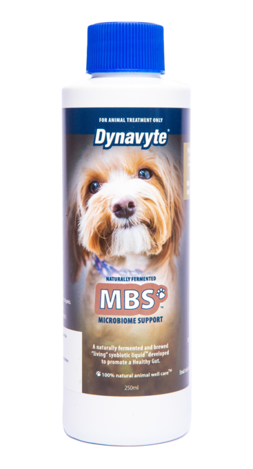 Dynavyte MBS Dog Microbiome Support Supplement - Petdirect
