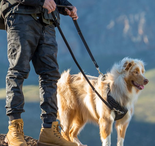 Rogz Utility Explore Harness - Petdirect