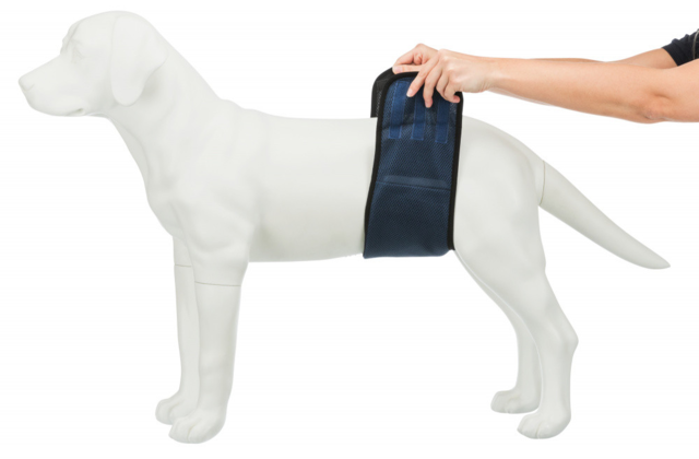 Trixie Male Dog Belly Band Incontinence Wrap - Petdirect