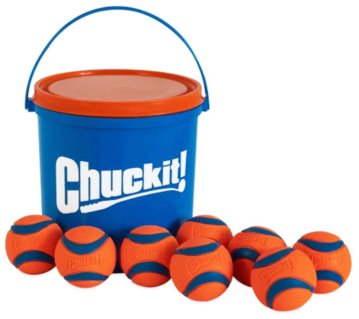 Chuckit! Ultra Ball & Bucket Dog Toy - Petdirect