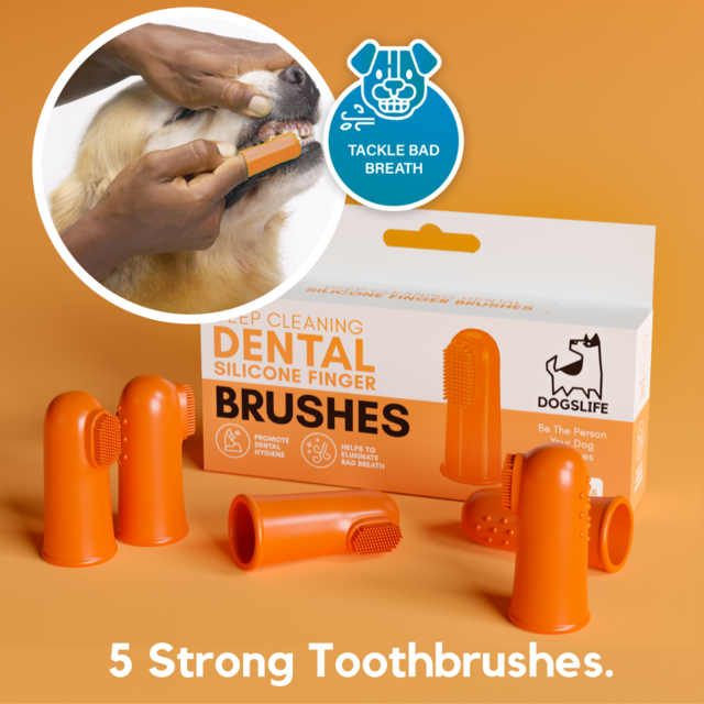 Dogs Life Dog Dental Silicone Finger Toothbrushes - Petdirect