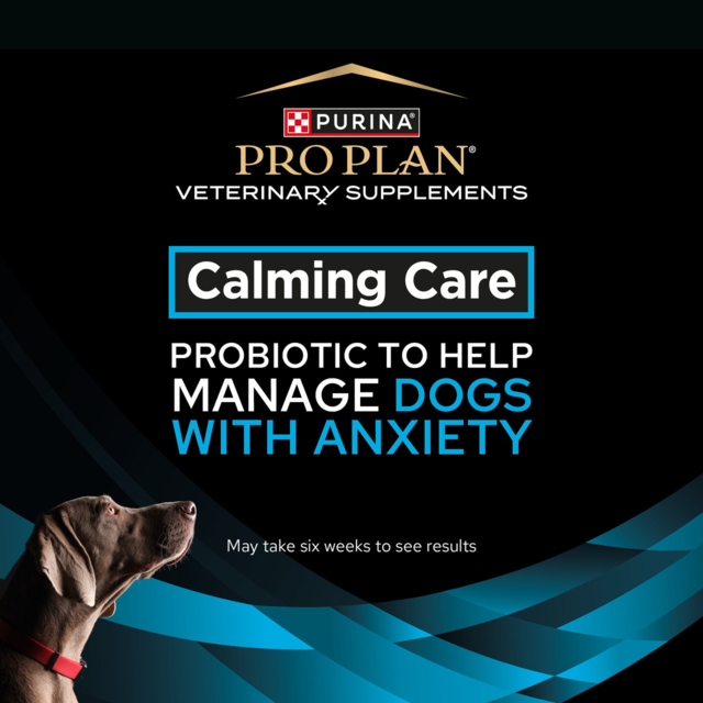 PRO PLAN Veterinary Diet Calming Care Dog Probiotic Supplement - Petdirect