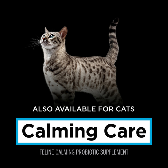 PRO PLAN Veterinary Diet Calming Care Dog Probiotic Supplement - Petdirect