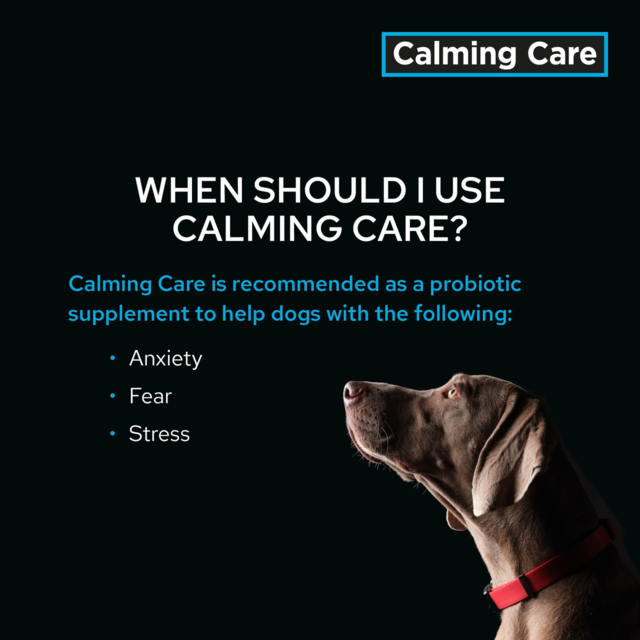 PRO PLAN Veterinary Diet Calming Care Dog Probiotic Supplement - Petdirect
