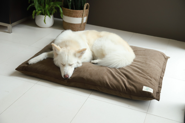Life of Riley Swag Bed - Petdirect
