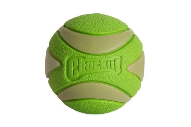 Chuckit! Max Glow Ultra Squeaker Ball Dog Toy - Petdirect