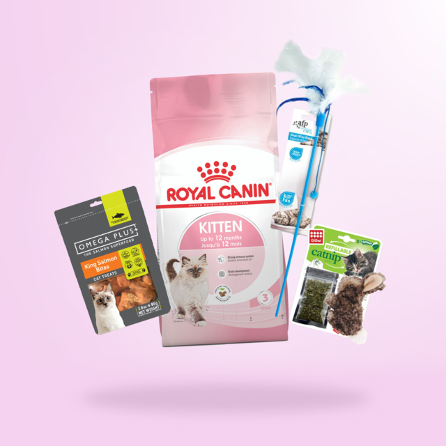 Pet Direct Purrfect Kitten Goody Box - Petdirect