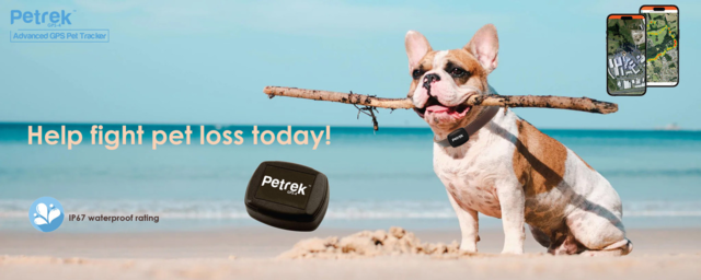 Petrek GPS-4 Pet Tracker - Petdirect