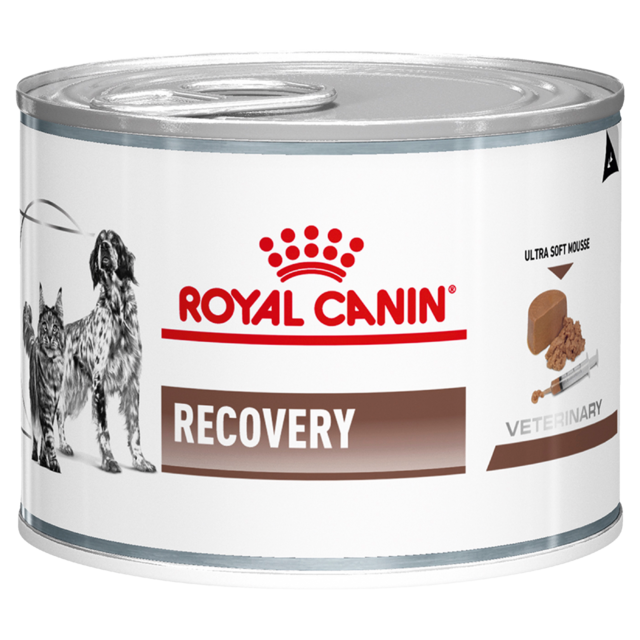 Royal Canin Vet Recovery Wet Dog and Cat Food - Petdirect