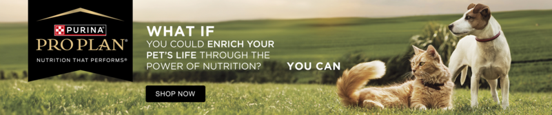 Pet Direct - 100% NZ Owned Online Pet Store - Shop dog & cat food ...