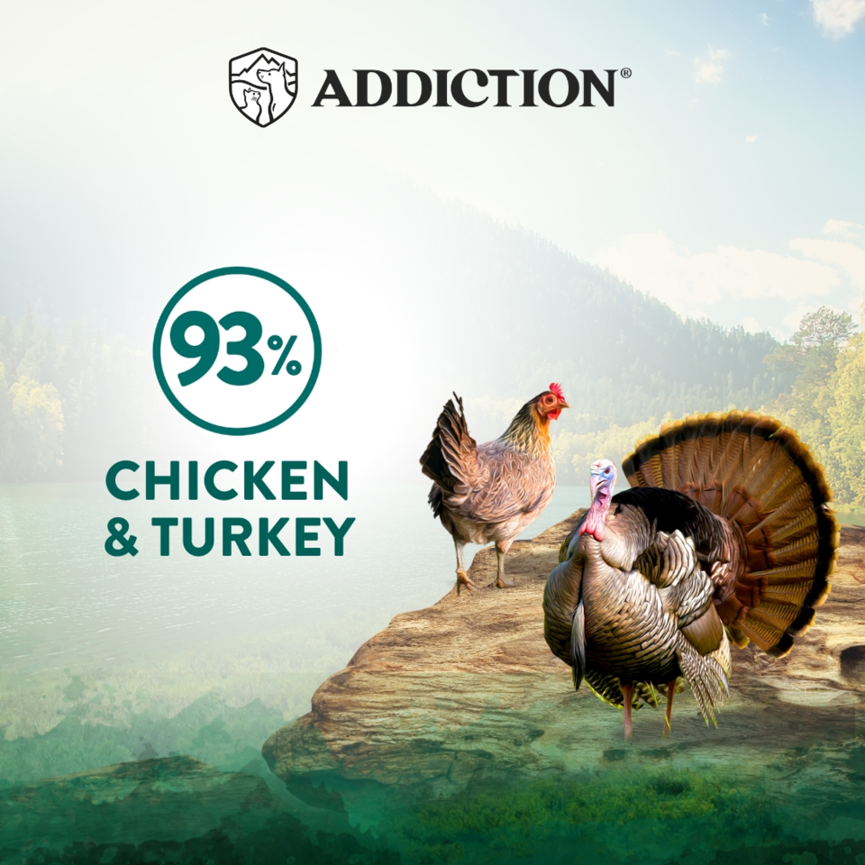 Addiction Wild Islands Island Birds Chicken & Turkey Wet Cat Food ...