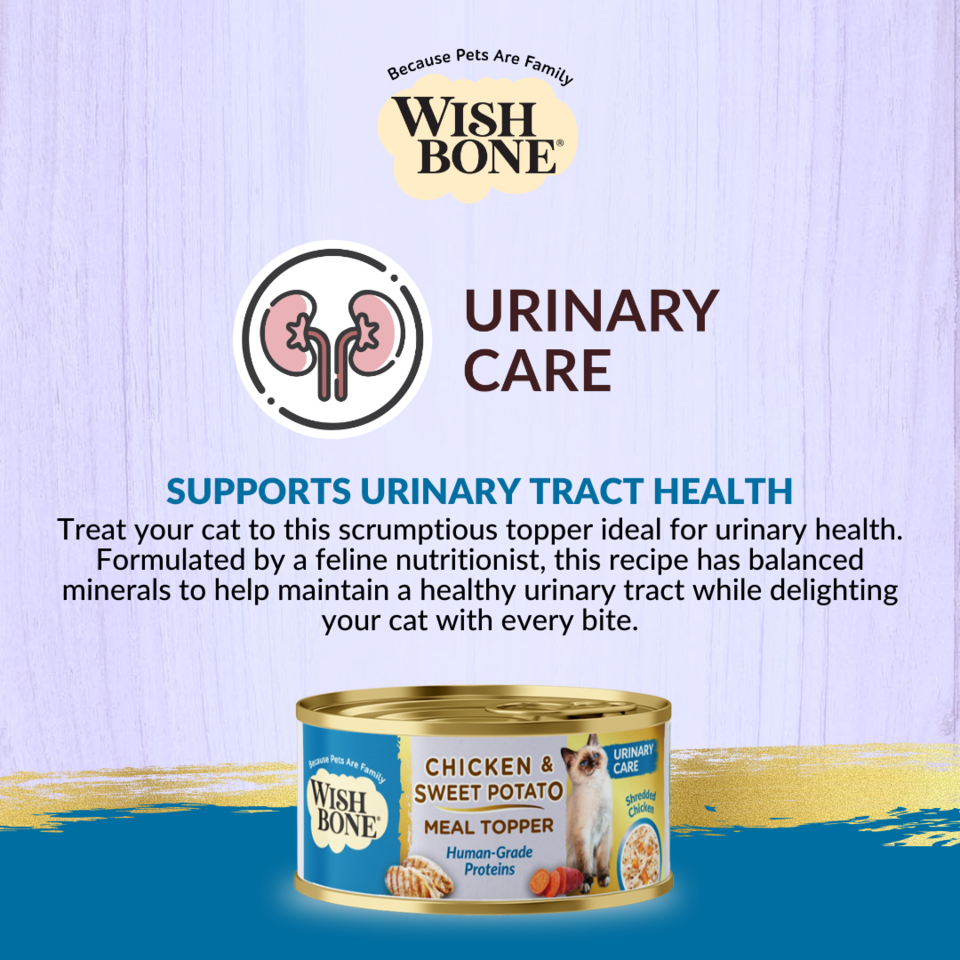 Wishbone Chicken & Sweet Potato Urinary Care Wet Cat Food Topper ...