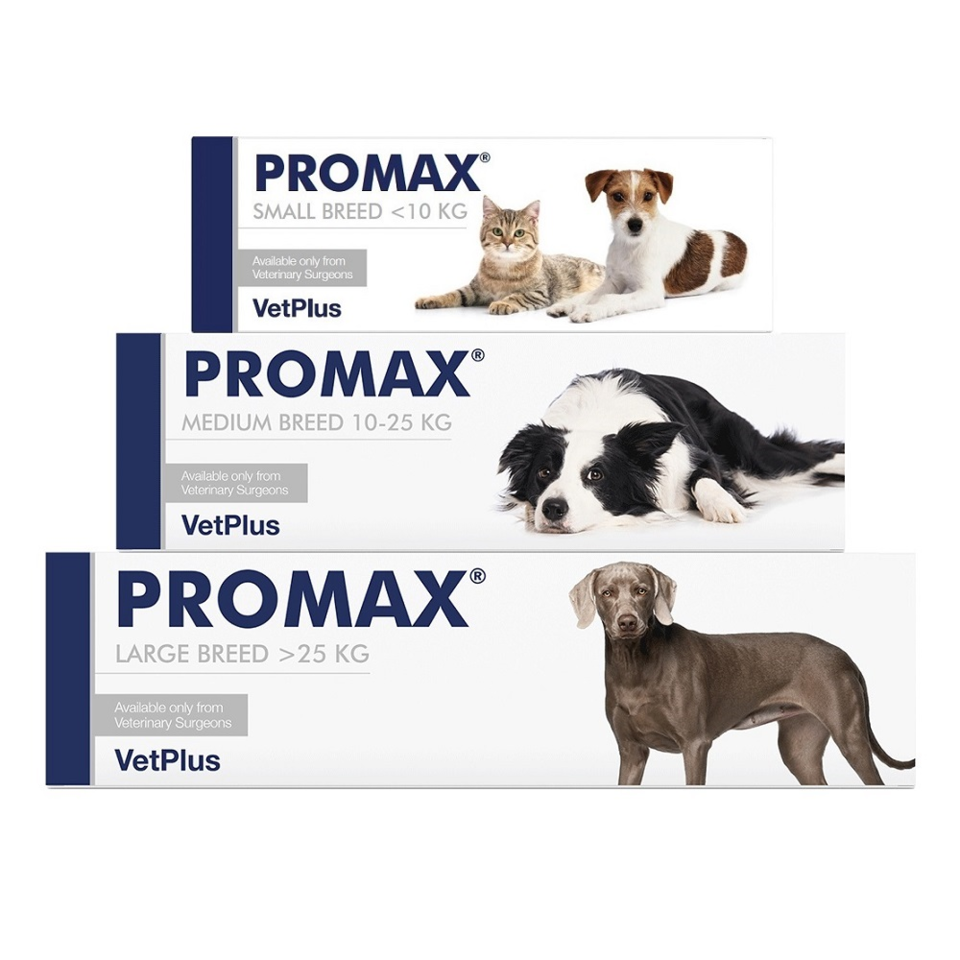 Discover Essential Dog Supplements for Optimal Health - Petdirect