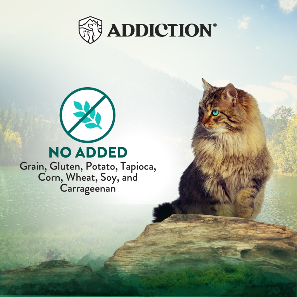 Addiction Wild Islands Island Birds Chicken & Turkey Wet Cat Food ...