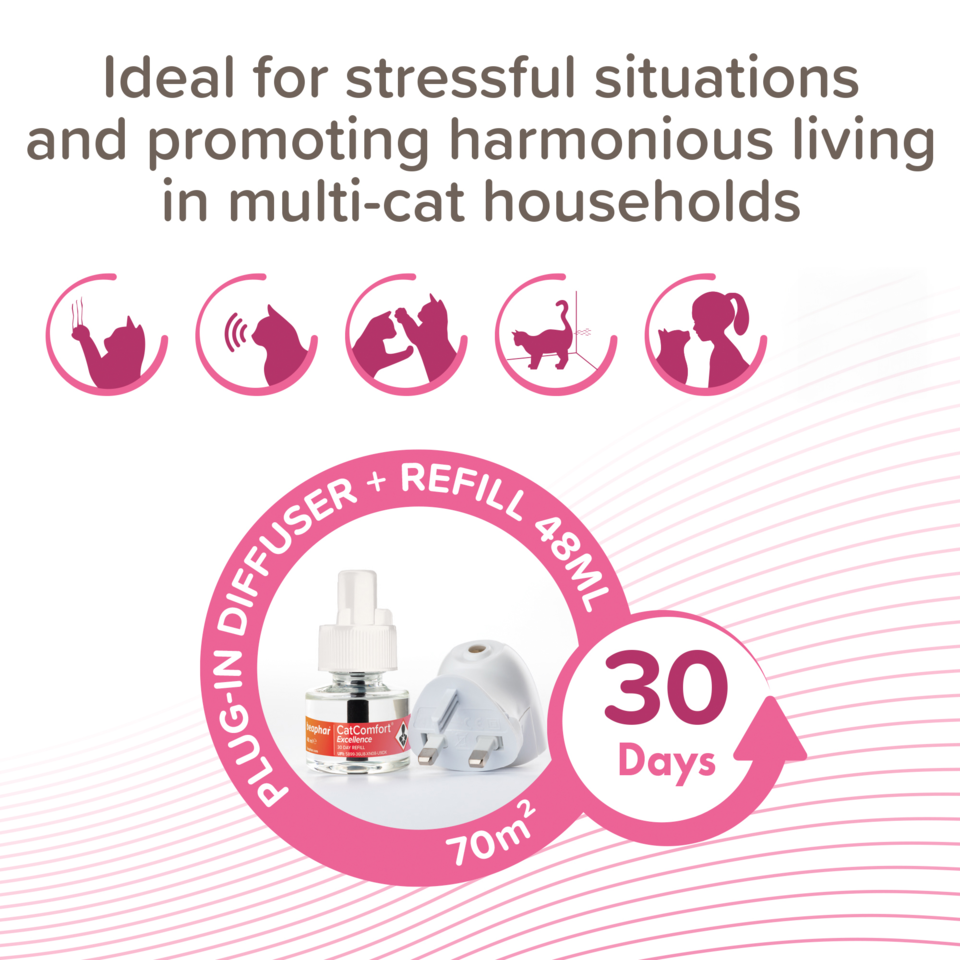Beaphar CatComfort Cat Calming Pheromone Diffuser Starter Kit - Petdirect