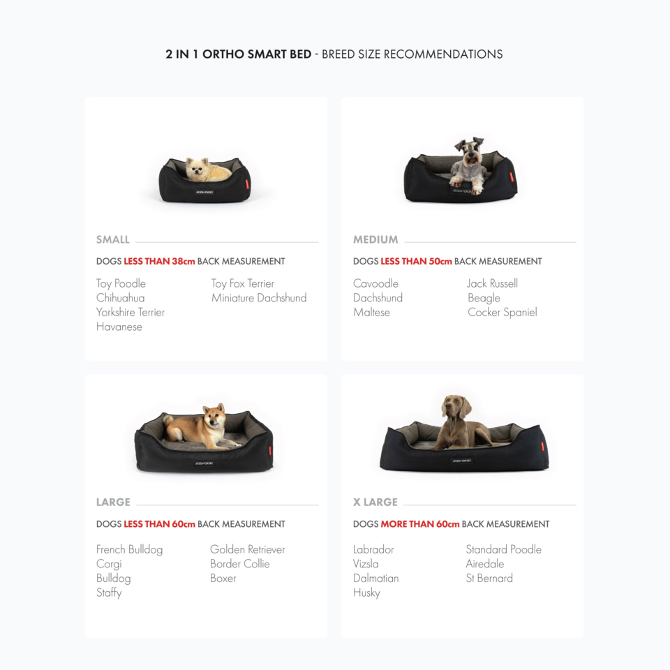 EzyDog 2 in 1 Ortho Smart Orthopaedic Dog Bed - Petdirect