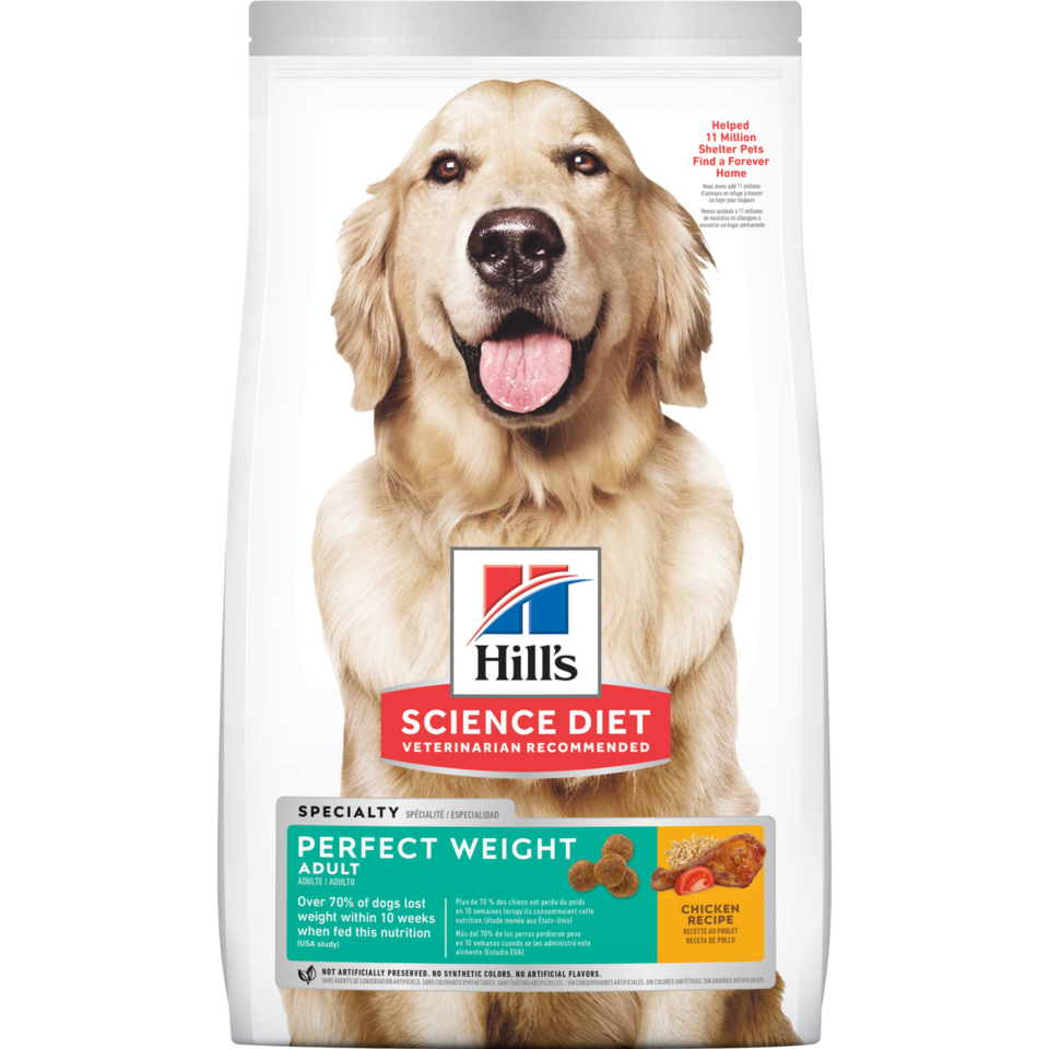 Manage Your Dog's Weight with Effective Weight Management Products ...
