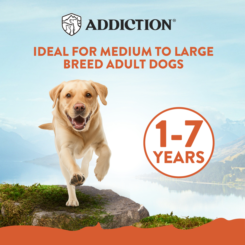 Addiction MEGA Adult Large Breed Chicken Dry Dog Food - Pet Direct