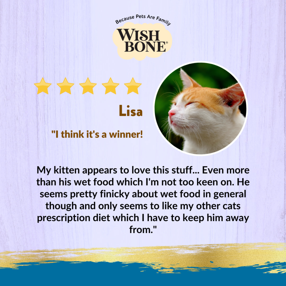 Wishbone Chicken & Sweet Potato Urinary Care Wet Cat Food Topper ...