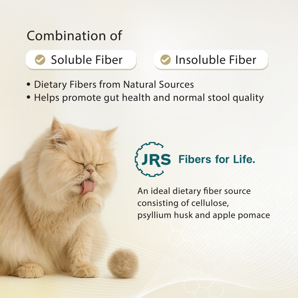 VetSynova VF+ Core FIBER Gut Health & Hairball Control Cat Supplement ...